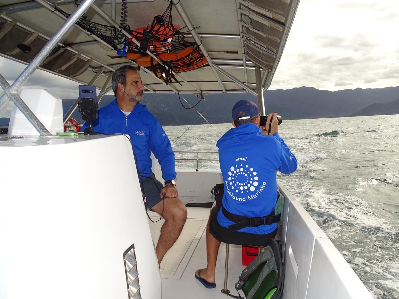 Patrick Pina Megafauna Marinha do Brasil – Tamoios News